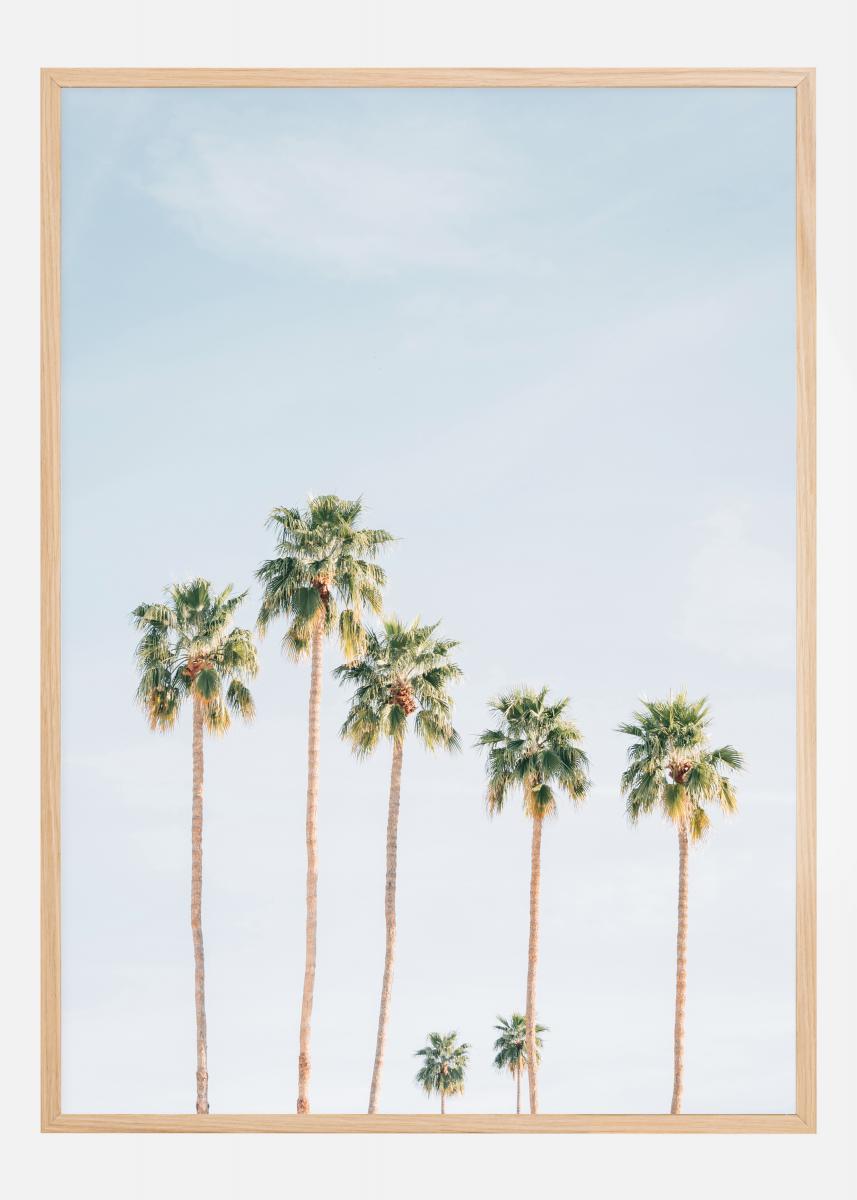Buy Palm Trees Poster here - BGASTORE.UK